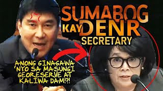 SUMABOG si Raffy Tulfo kay DENR Yulo Loyzaga sa Senate budget deliberations